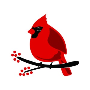 Cardinal Bird Pack Cuttable Design SVG PNG DXF & Eps Designs Cameo File ...