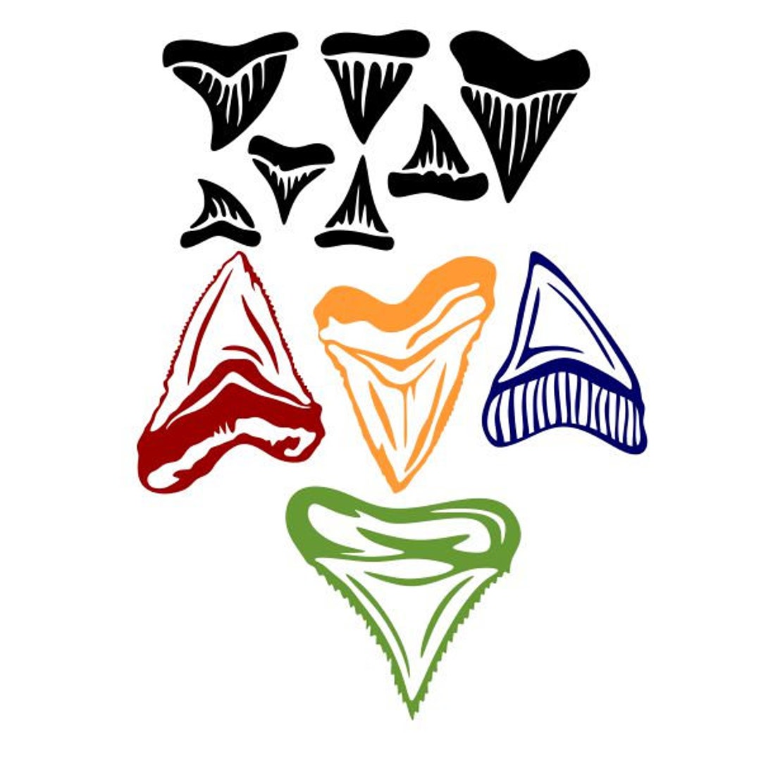 Shark Teeth Fish Cuttable Design SVG PNG DXF & Eps Designs Cameo File ...