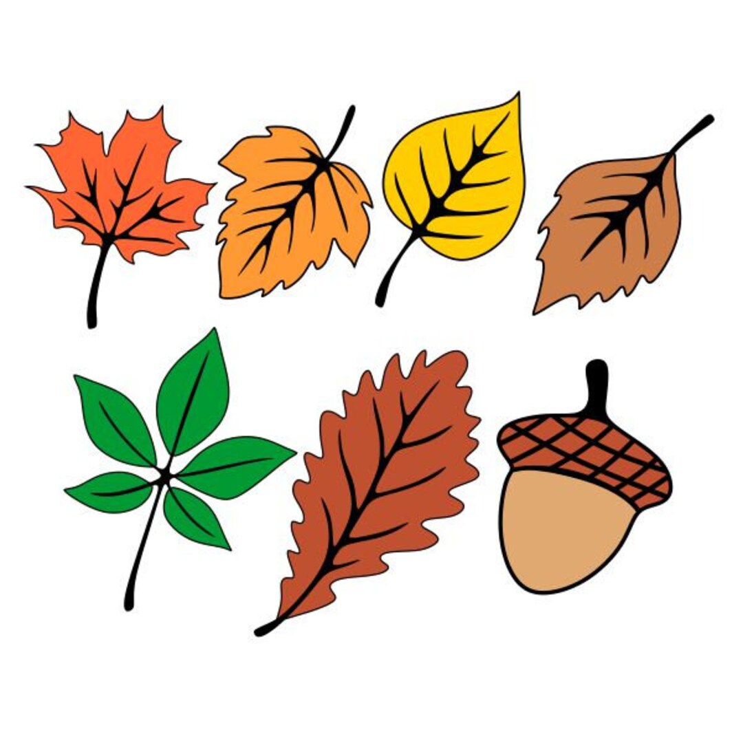 Autumn Leaf Pack Cuttable Design SVG PNG DXF & Eps Designs Cameo File ...