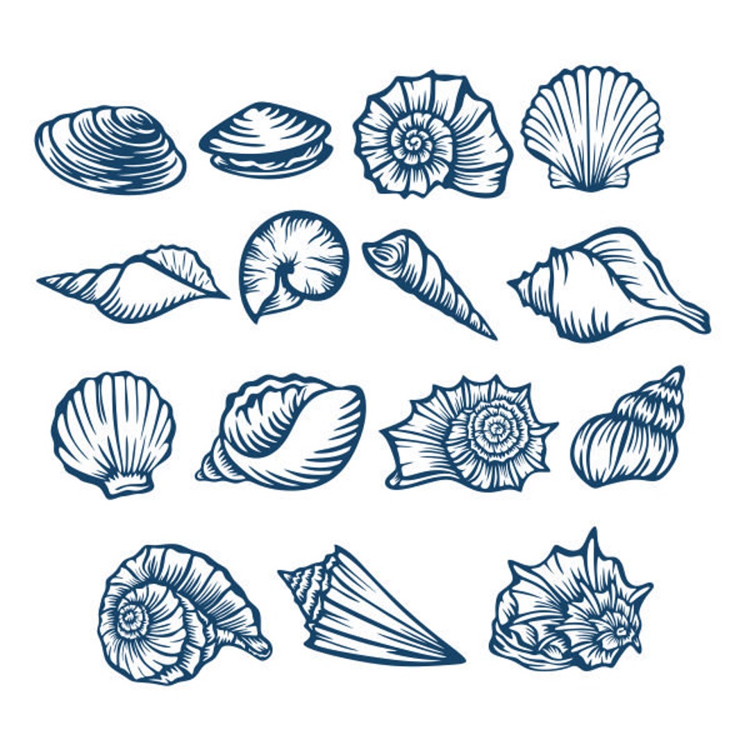 Seashells Pack Cuttable Design SVG PNG DXF & Eps Designs Cameo File ...