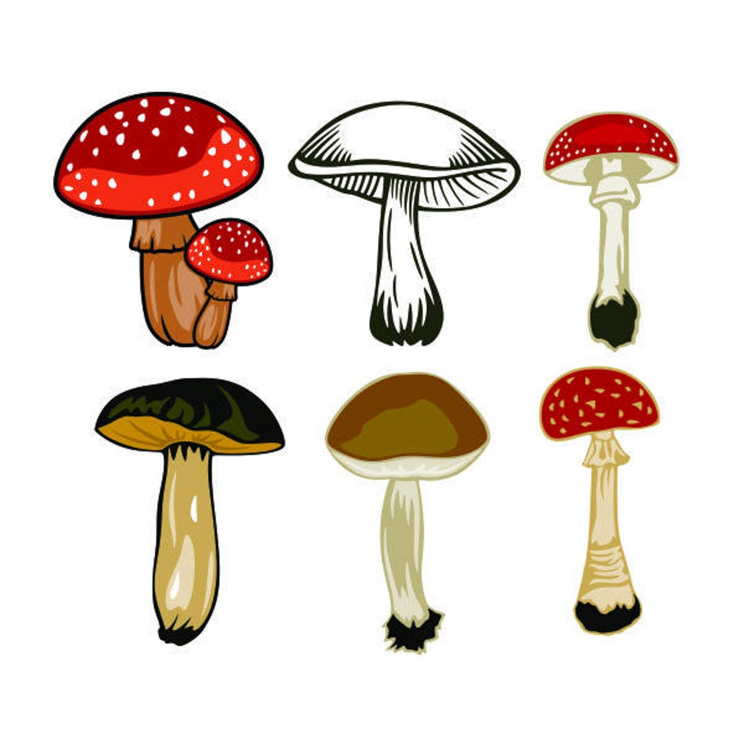 Mushroom Pack Cuttable Design SVG PNG DXF & Eps Designs Cameo File ...