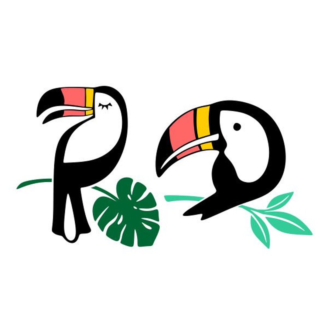 Toucan Pack Cuttable Design SVG PNG DXF & Eps Designs Cameo File ...