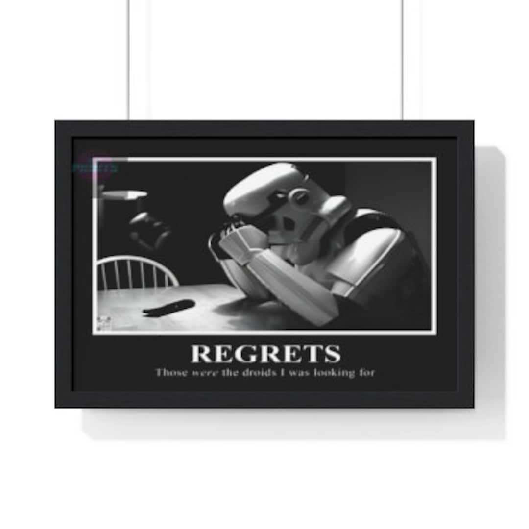 Storm Trooper "those Were the Droids I Was Looking For" Poster - Etsy