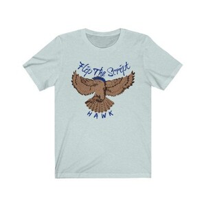 Hawk "flip the Script" Tee - Etsy