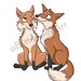 Kissing Fox Love Art Print, Cute Gift for Girlfriend, Anniversary Gifts ...