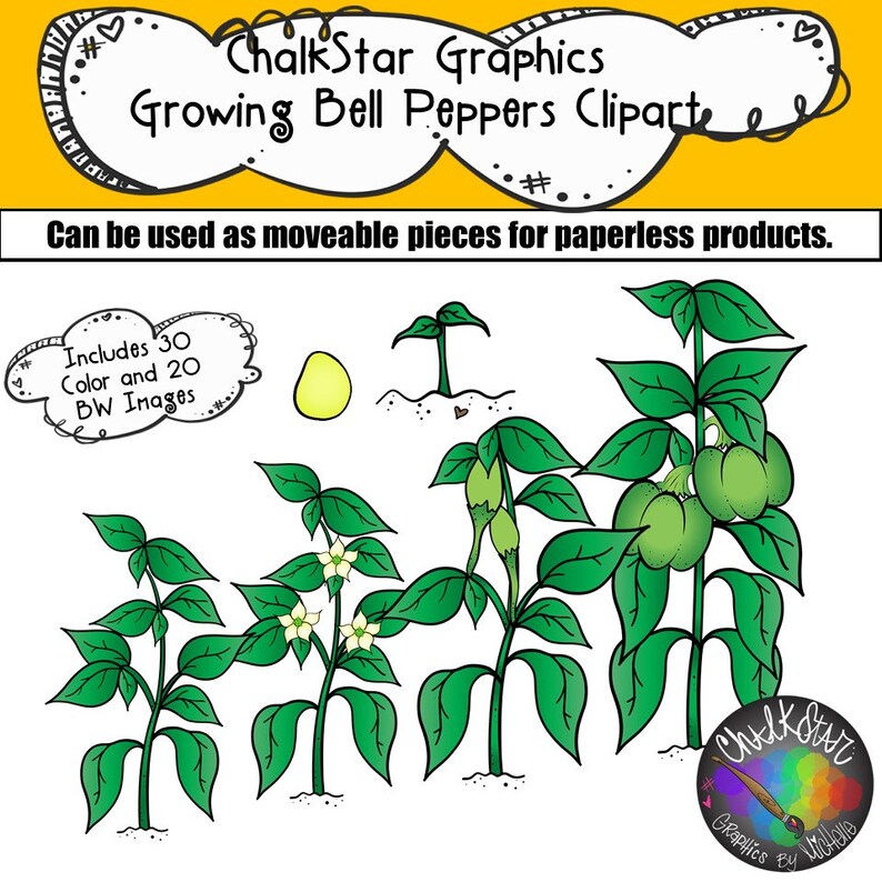 Garden Clip Art- How to Grow Bell Peppers by Chalkstar Graphics - Etsy