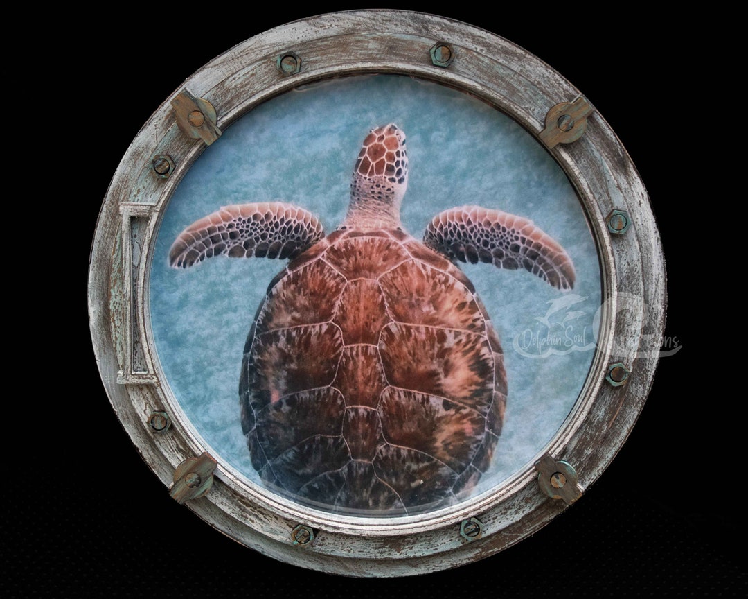 Handcrafted Sea Turtle Porthole Frame Swimming the Life - Etsy