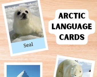 Arctic Animal Flash Cards - Etsy
