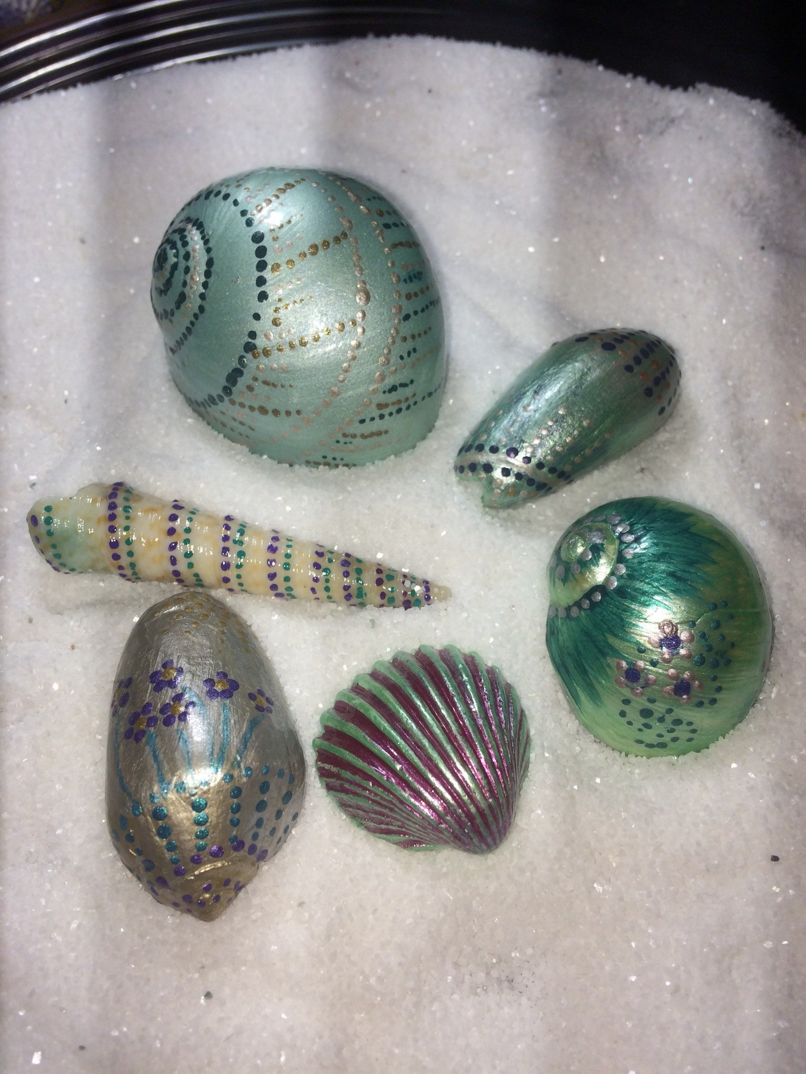 Set of Sea Shells in Green - Etsy