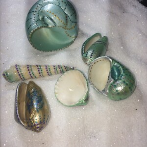 Set of Sea Shells in Green - Etsy