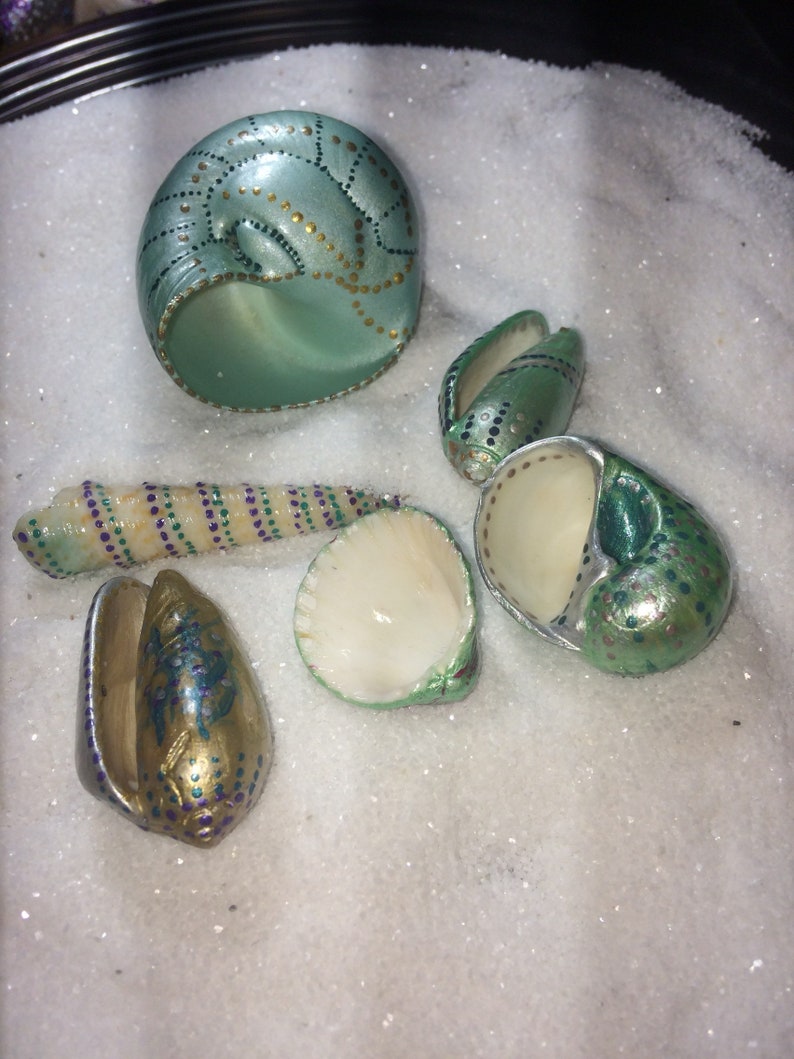 Set of Sea Shells in Green - Etsy