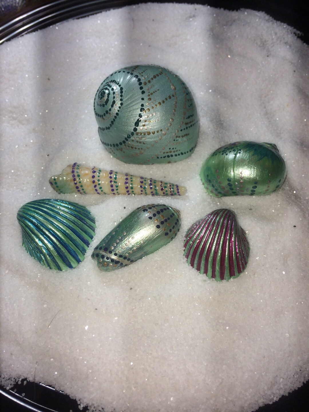 Set of Sea Shells in Green - Etsy