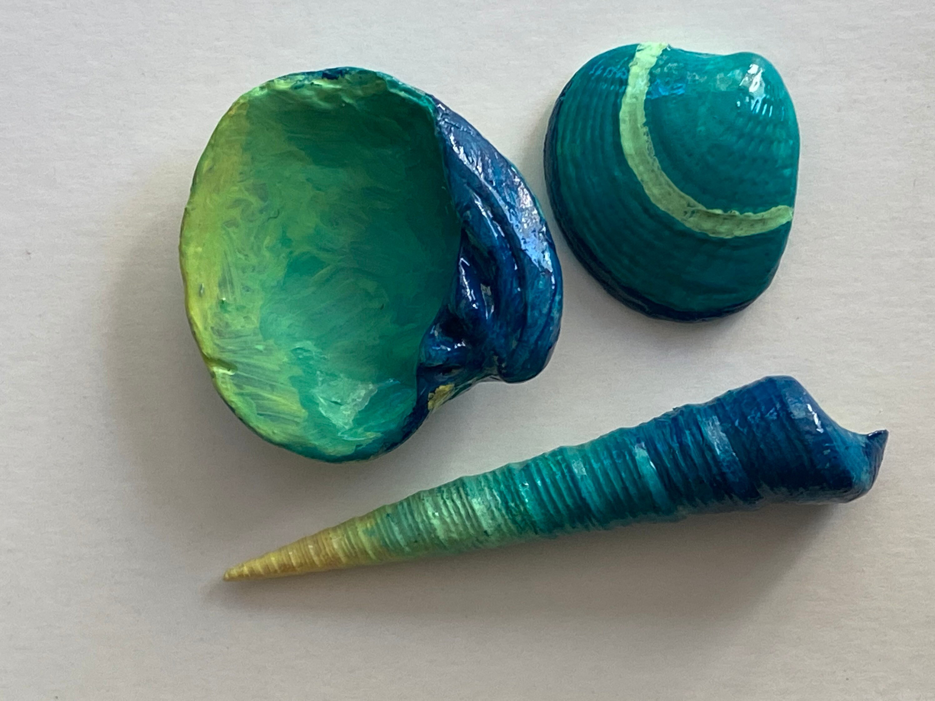 Hand-painted Seashells - Set of 10 - Etsy