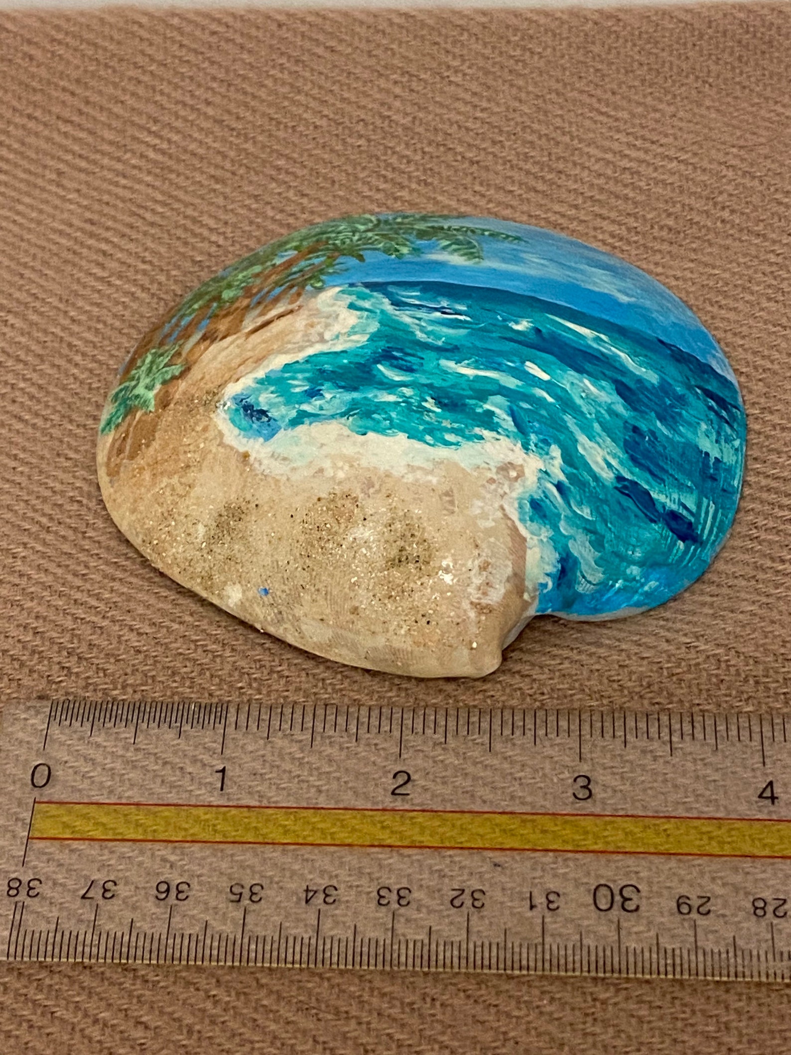 Hand-painted Seashell Med/large - Etsy