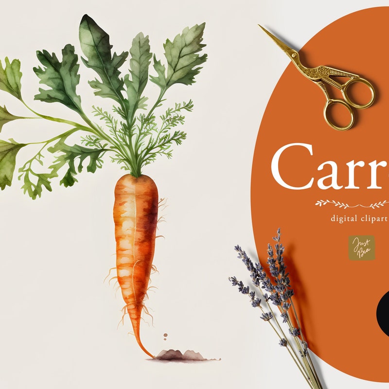Watercolor Carrots - Etsy