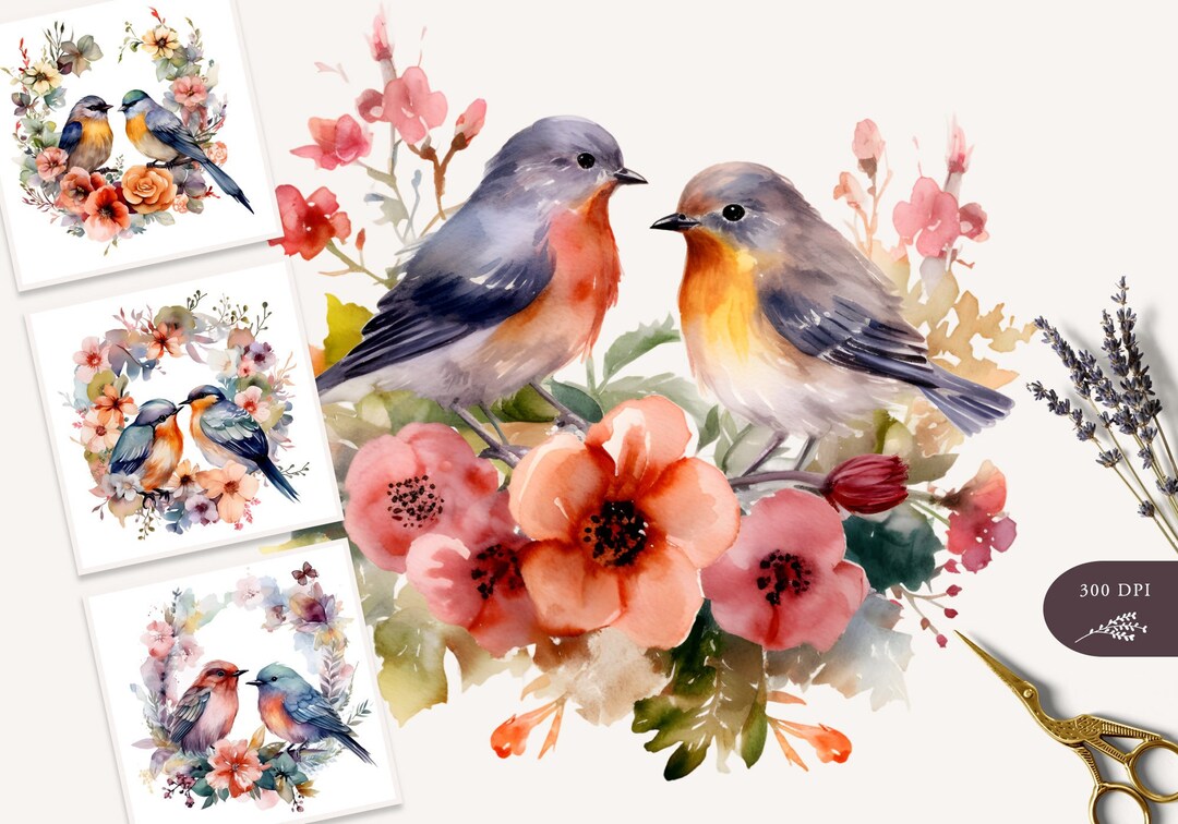 Watercolor Bird Clipart, Bird Clipart, Watercolor Animal Clipart ...