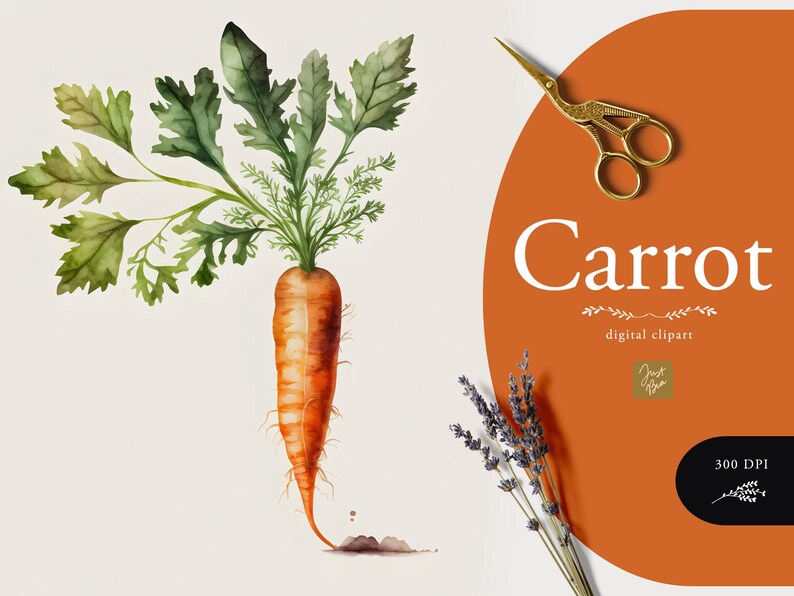 Watercolor Carrots Clipart - Carrot Graphics - Digital Download ...