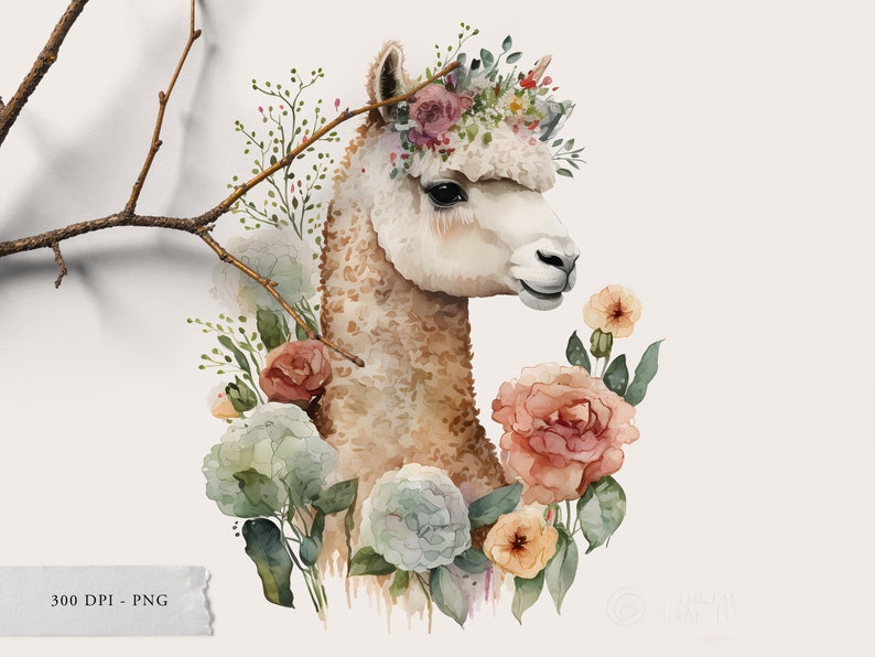 Llamas Clipart, Alpaca Clipart, Pastel Floral Wreath, Cute Animal Png ...