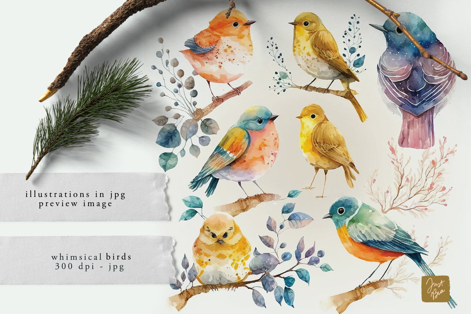 Cute Adorable Set of 59 Watercolor Bird Illustrations - Etsy