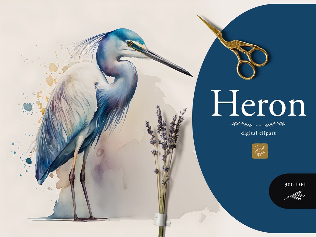 Watercolor Little Blue Heron Clipart, Watercolor Bird, Whimsical ...