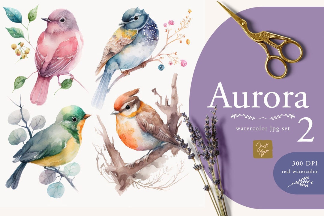 Cute Adorable Set of 59 Watercolor Bird Illustrations, Watercolor Cute ...