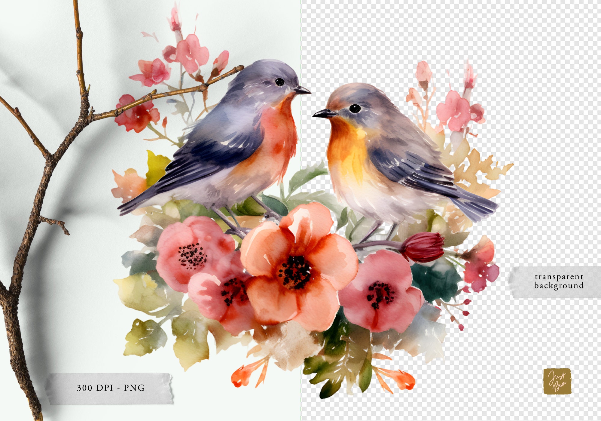 Watercolor Bird Clipart, Bird Clipart, Watercolor Animal Clipart ...