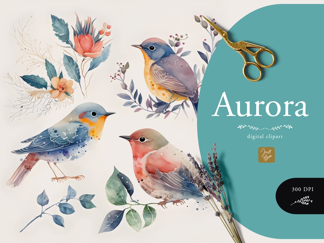 Watercolor Bird Illustrations, Watercolor Cute Birds, Watercolor ...