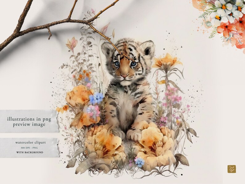 Watercolor Baby Tiger Clipart Watercolor Baby Tigers - Etsy