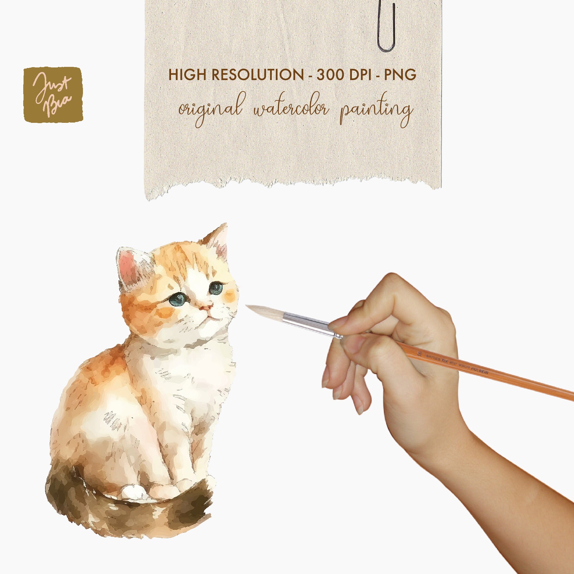 Cute Watercolor Cats Clipart Set: Cats Clip Art Instant - Etsy