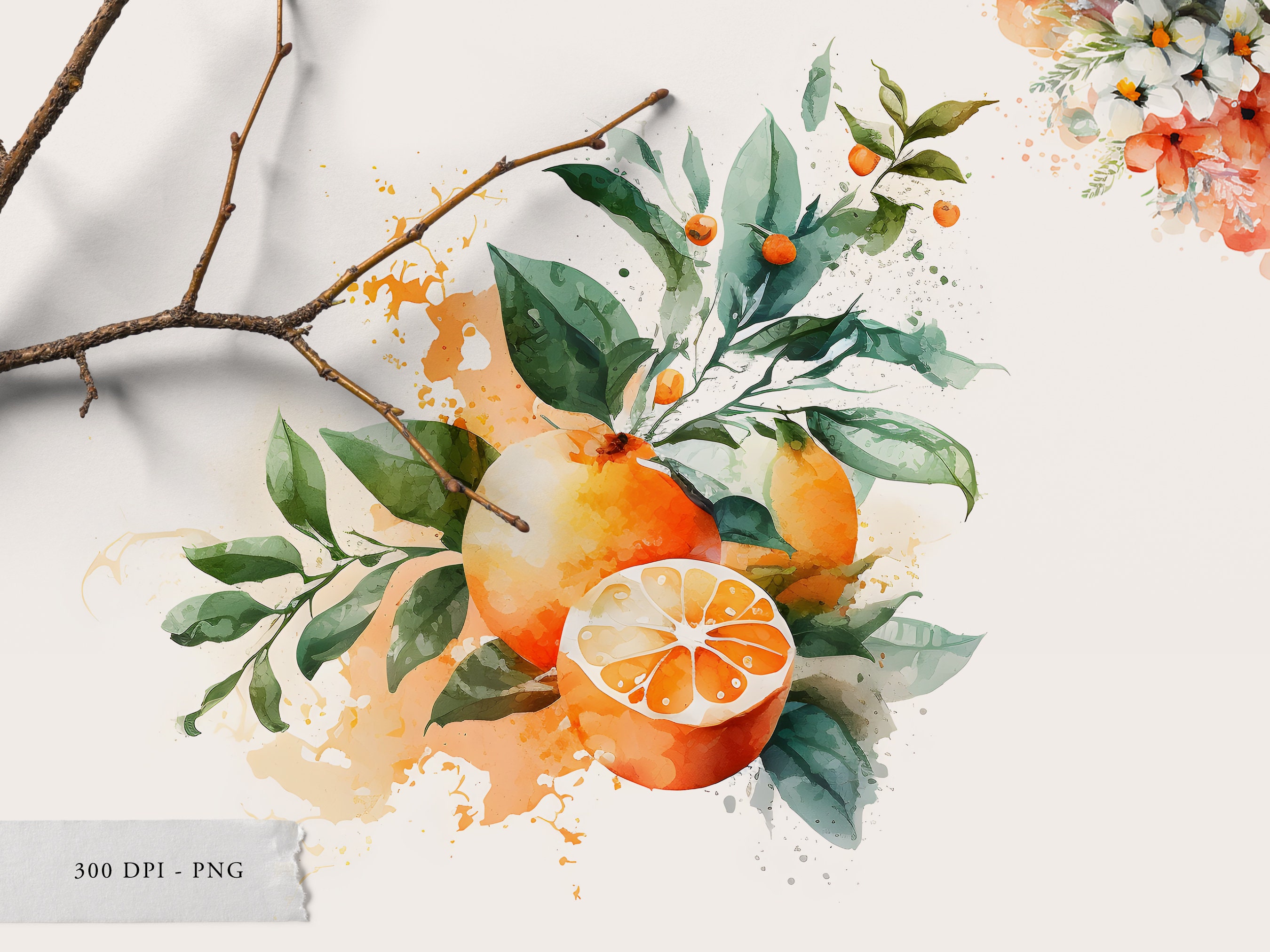 Watercolor Orange Clipart, Orange Clipart, Orange Graphics, Digital ...