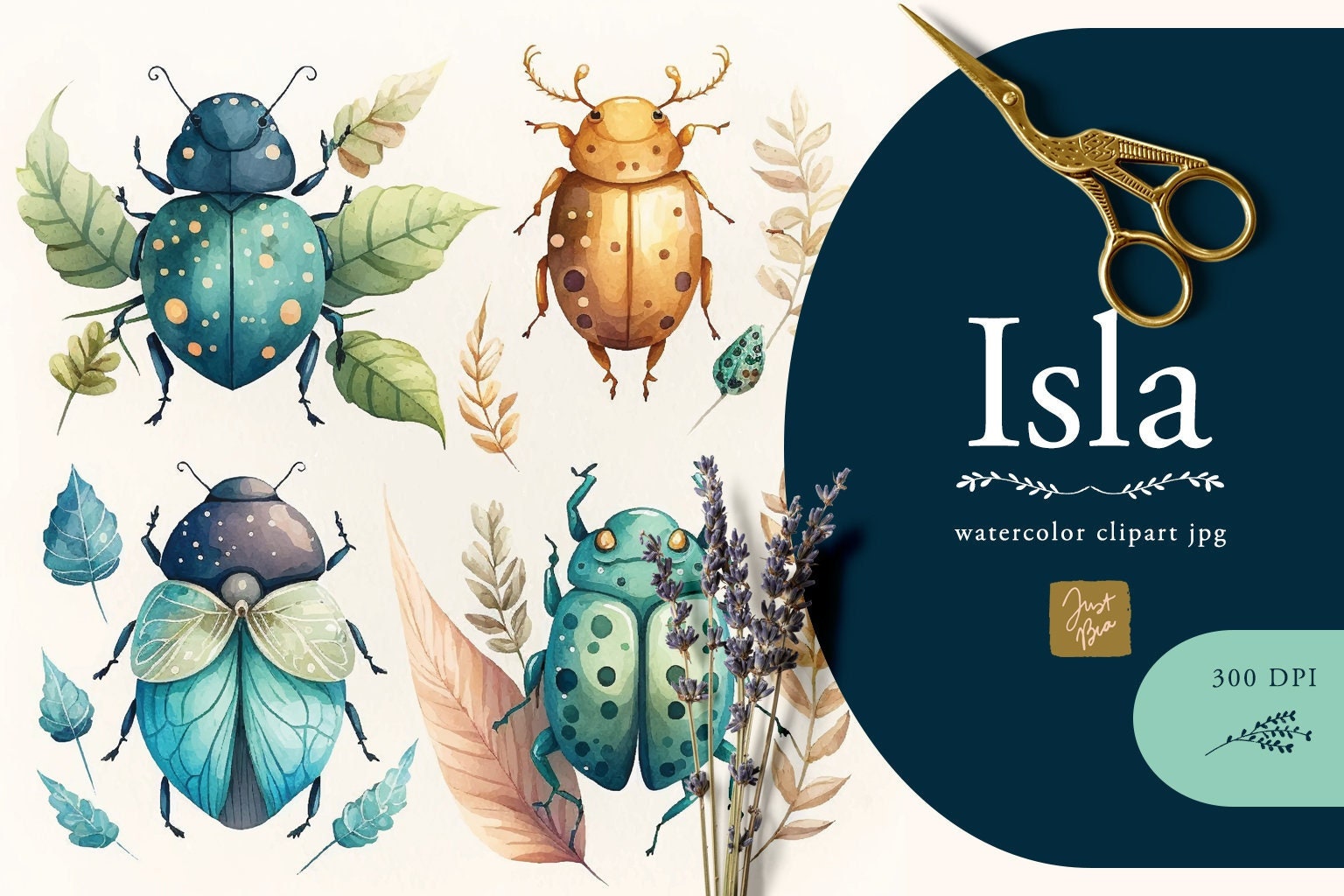 Watercolor Bugs Illustration, Watercolor Cute Bugs, Watercolor ...