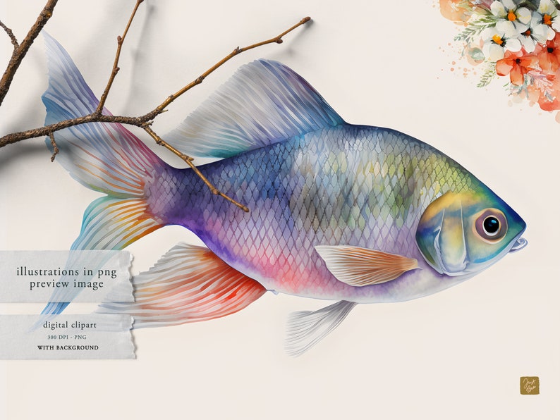 Watercolor Rainbow Fish Clipart, Fish Clipart, Fish Illustration ...
