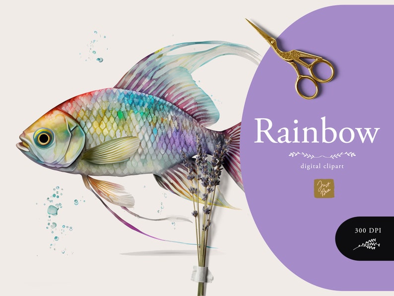Watercolor Rainbow Fish Clipart Fish Clipart Fish - Etsy