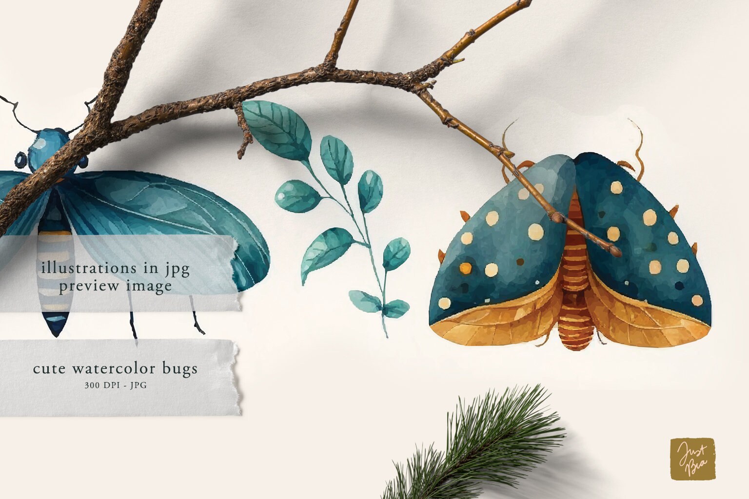 Watercolor Bugs Illustration, Watercolor Cute Bugs, Watercolor ...