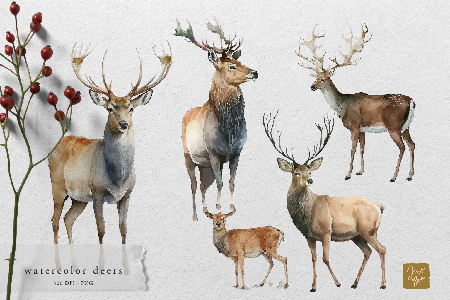 Deer Clipart Watercolor Clipart Set Watercolor Trees - Etsy