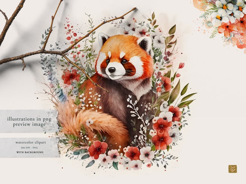 Red Panda Clipart, Watercolor Red Pandas, Whimsical Watercolor Red ...