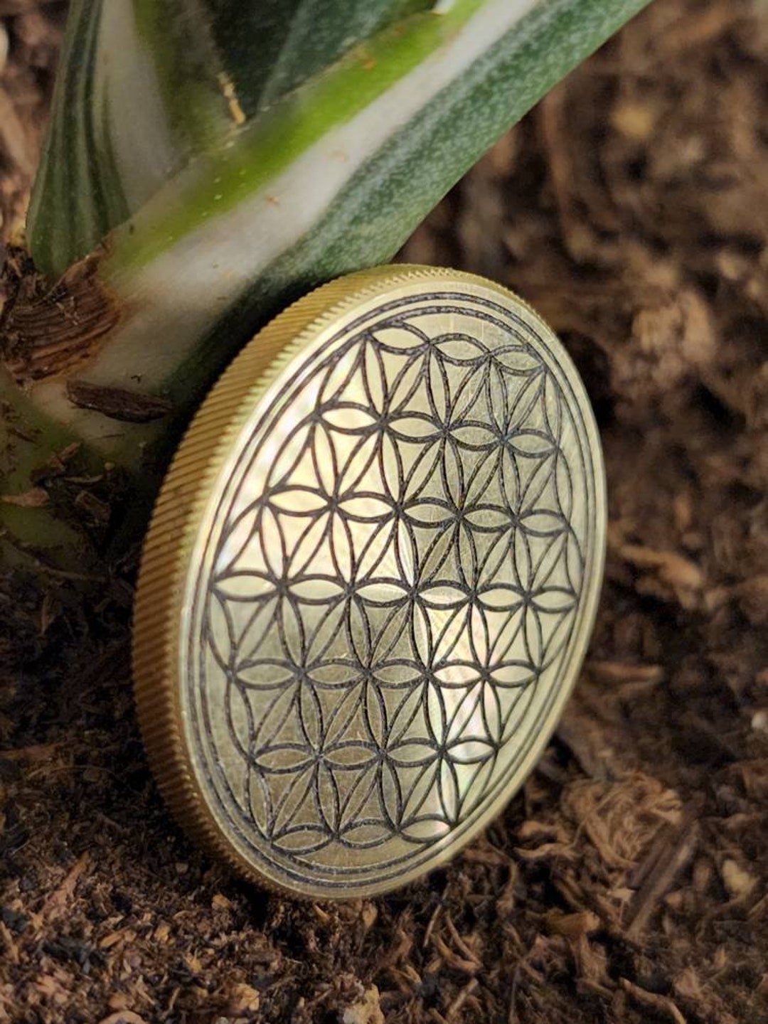 Flower of Life Coin - Solid Brass 3 Sizes! - Etsy