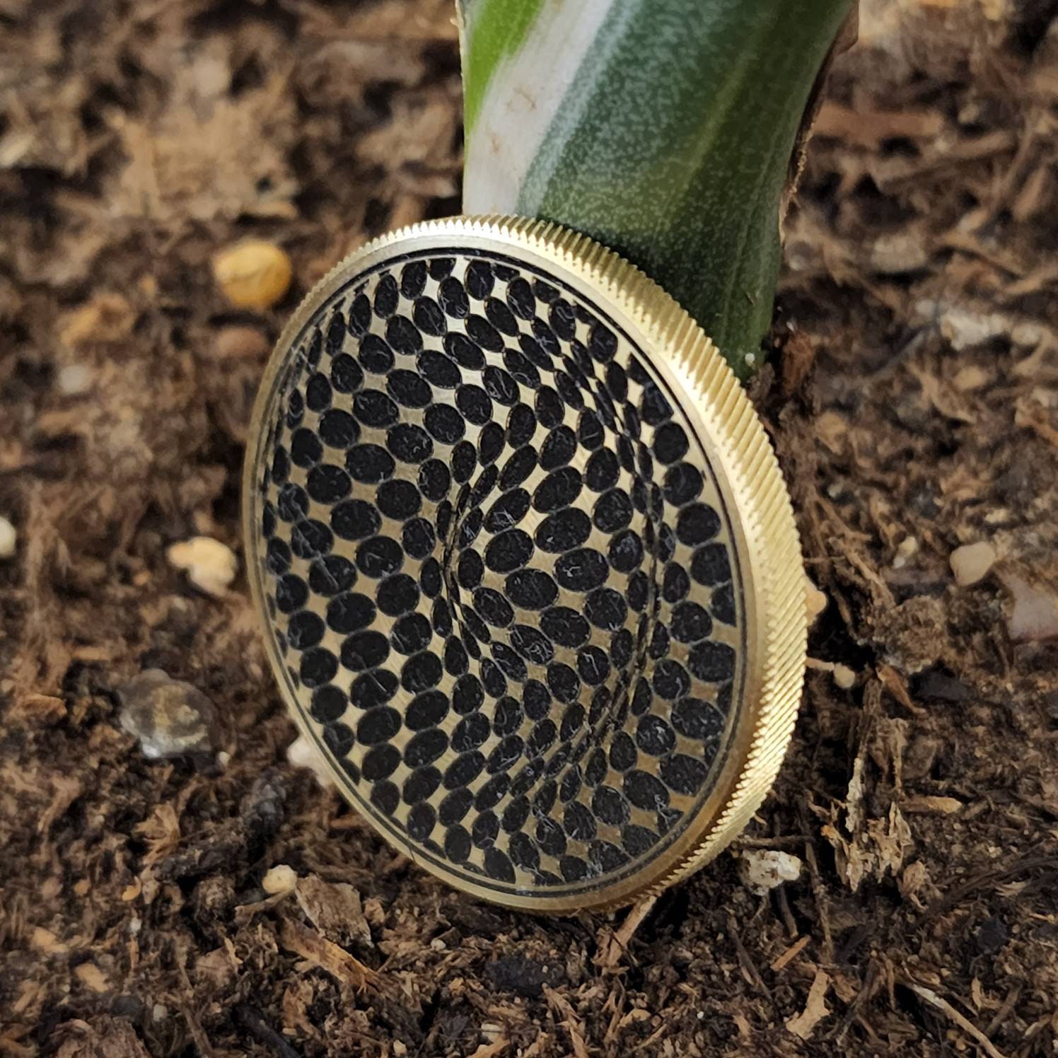 3D Vortex Coin - 3 Sizes! - Etsy