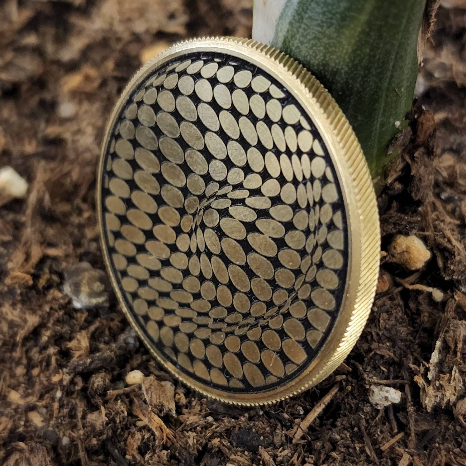 3D Vortex Coin - 3 Sizes! - Etsy