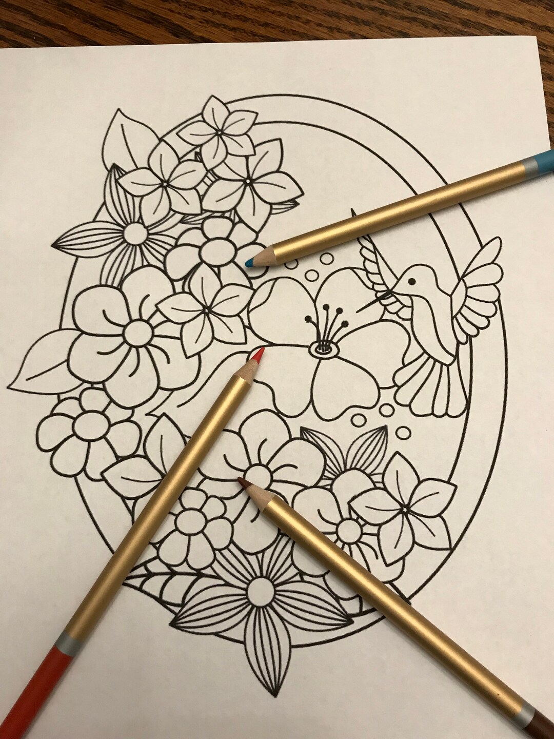Coloring Page Spring Flowers and Hummingbird in Frame Printable - Etsy