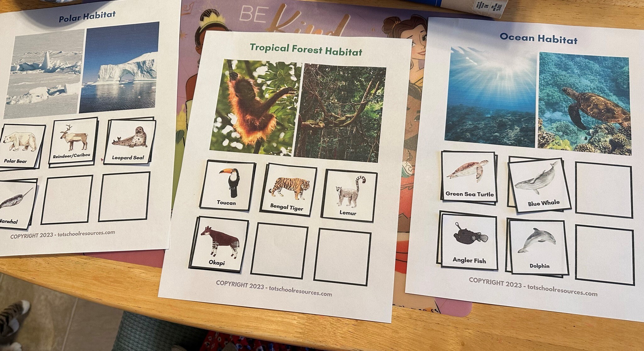 Habitats & Animals Worksheets - Unit Study - K-3rd - Etsy