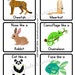 Animal Movement Action Cards, Brain Breaks, Preschool, Kindergarten ...