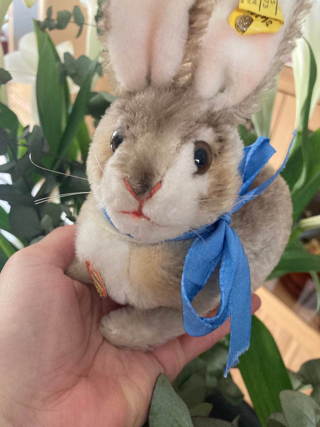 Steiff Pummy 2960/15 - Etsy