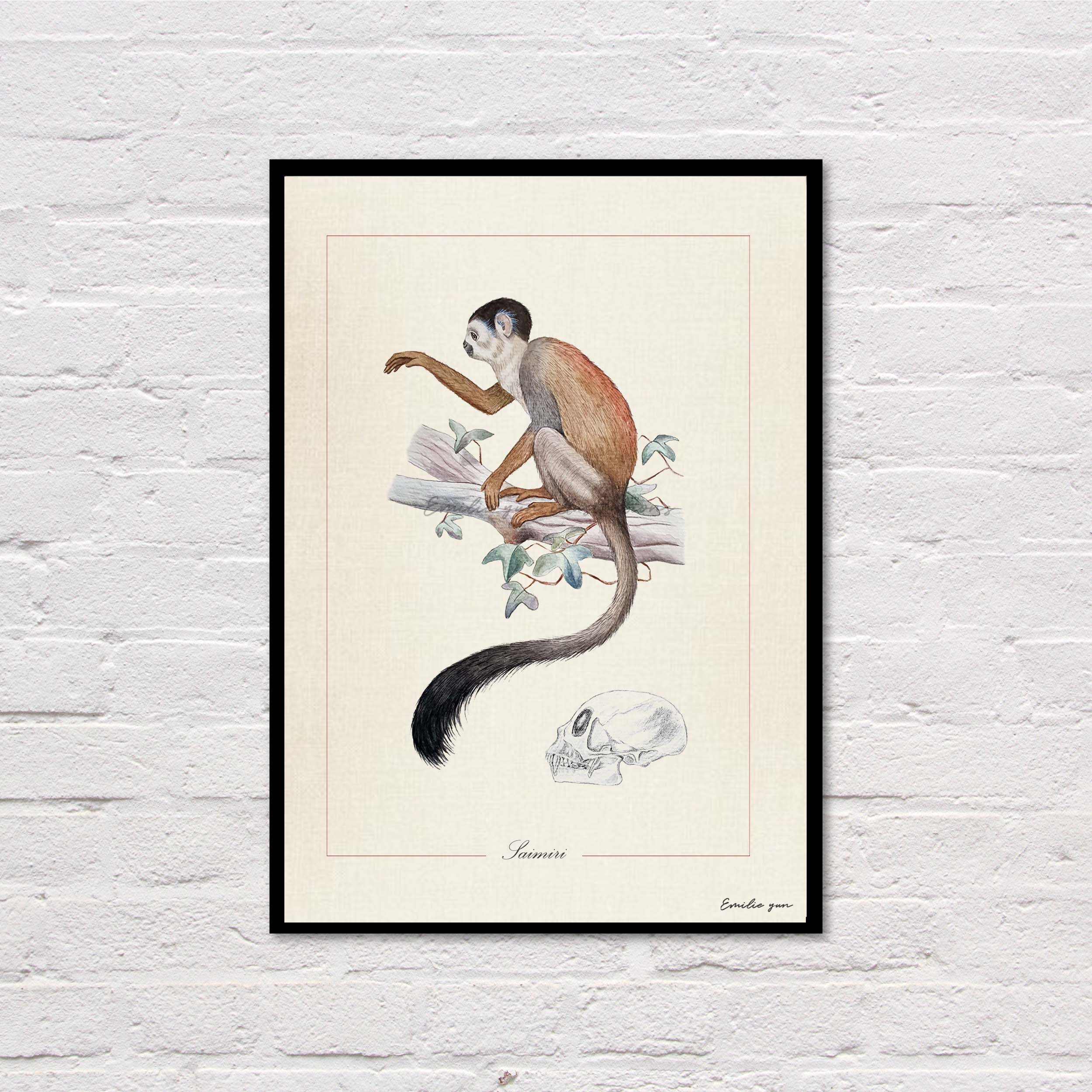 Reproduction Aquarelle Singe Ecureuil Saimiri Commun - Etsy