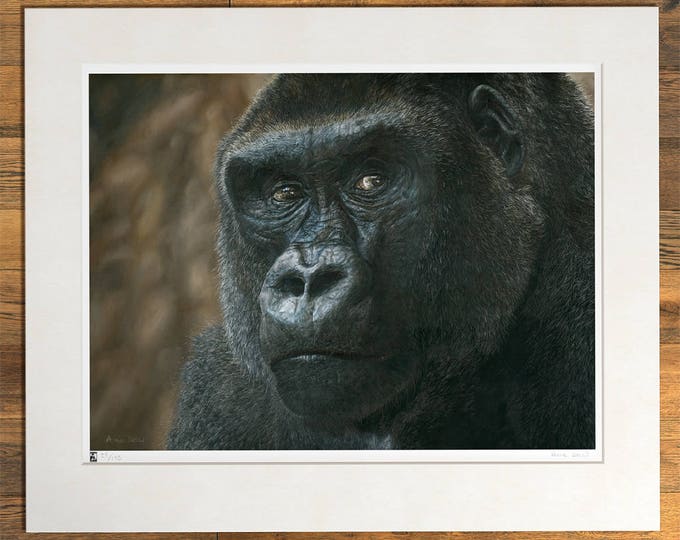 AnnieDrewWildlifeArt (by Annie Drew) - Etsy UK