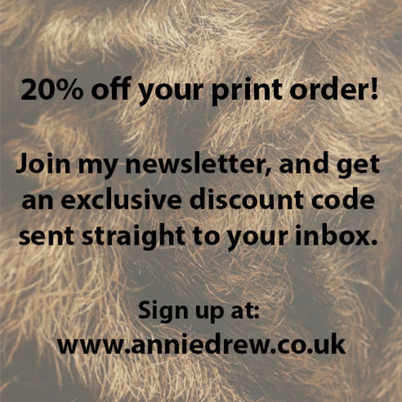Wildlife Art Print Buzzard - Etsy UK