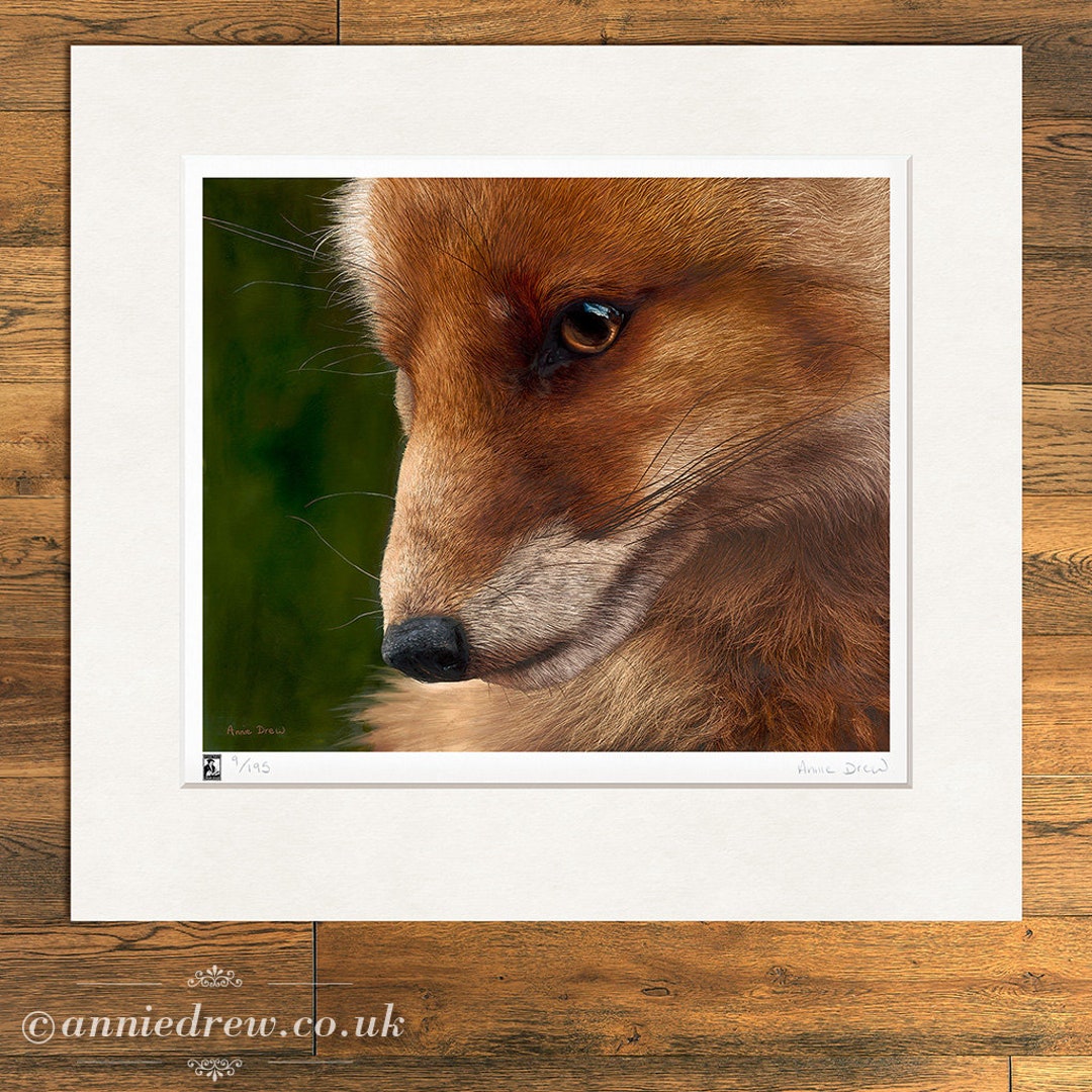 Wildlife Art Print, Fox Cub - Etsy