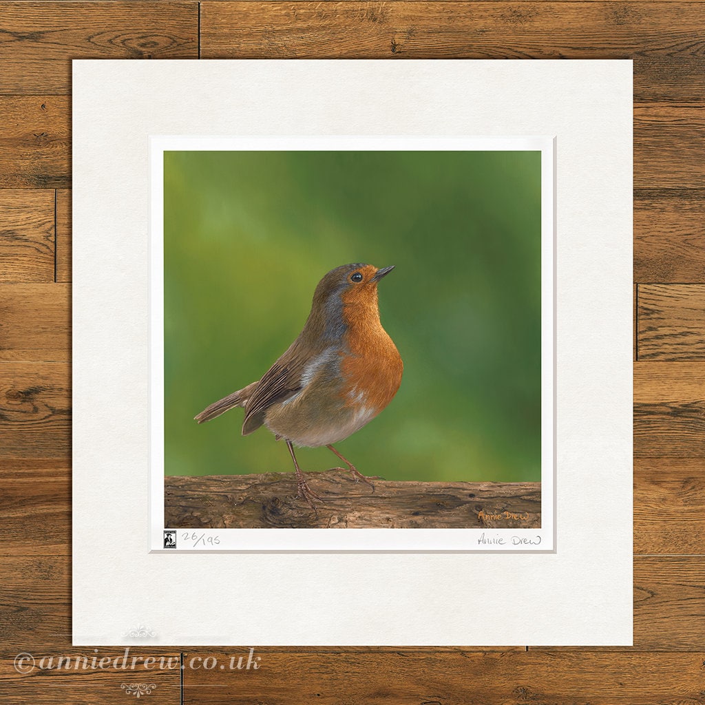 Wildlife Art Print, Robin - Etsy