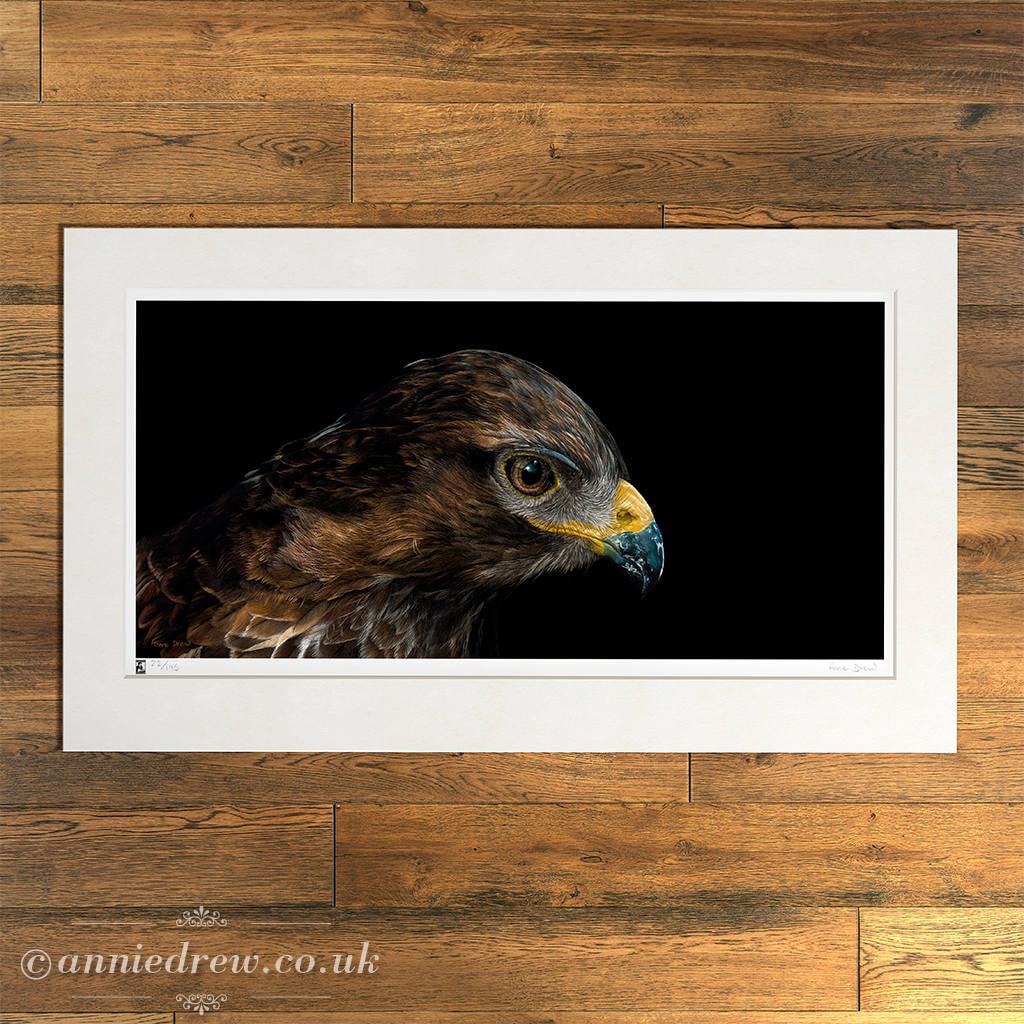 Wildlife Art Print, Buzzard - Etsy UK