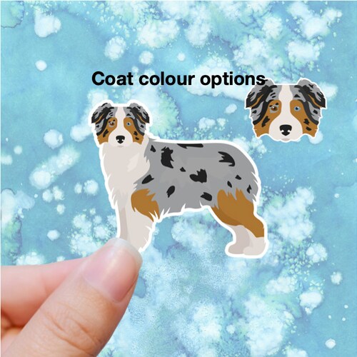 Australian Shepherd Sticker - Etsy